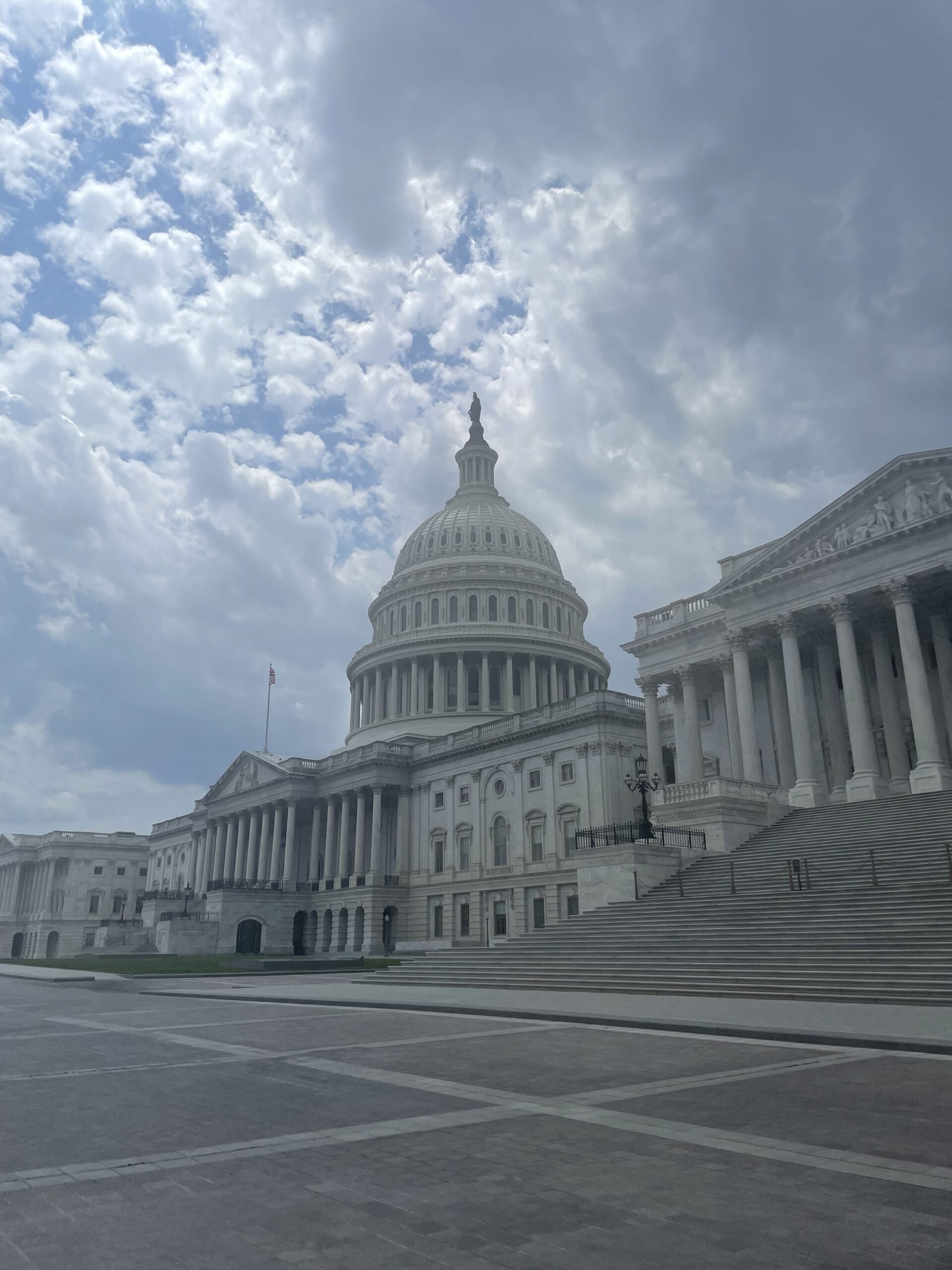 Mercy Justice Advocacy Program - Sisters of Mercy