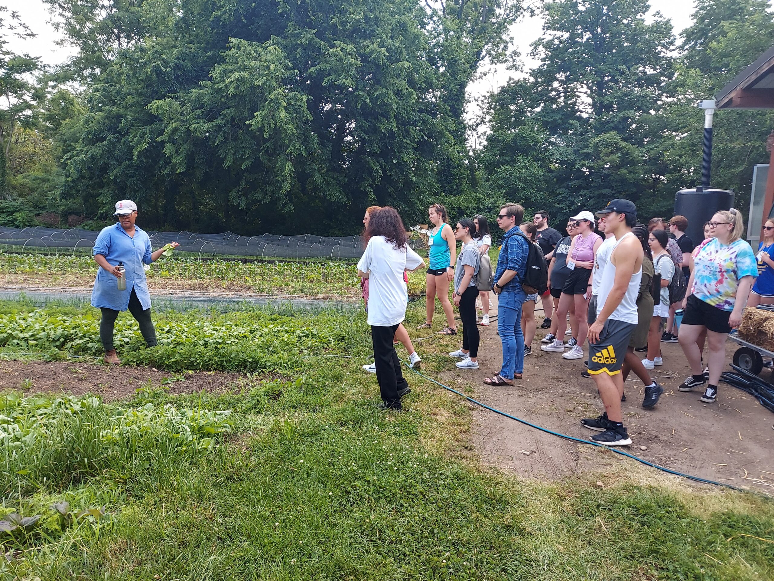 Mercy Justice Advocacy Program - Sisters of Mercy